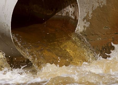 Our Issues - St. Johns Riverkeeper