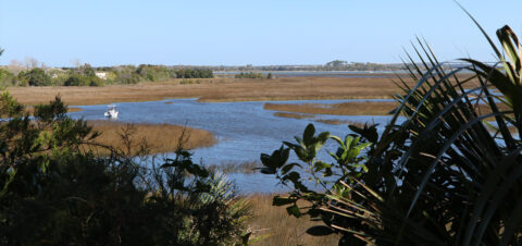 National Estuaries Week and the St. Johns - St. Johns Riverkeeper