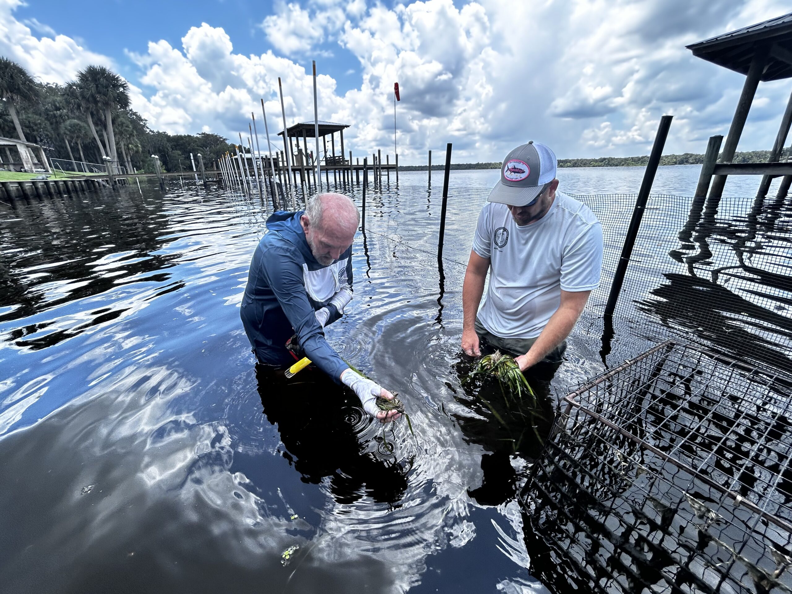 SAVe Our River’s Grasses Expedition - St. Johns Riverkeeper